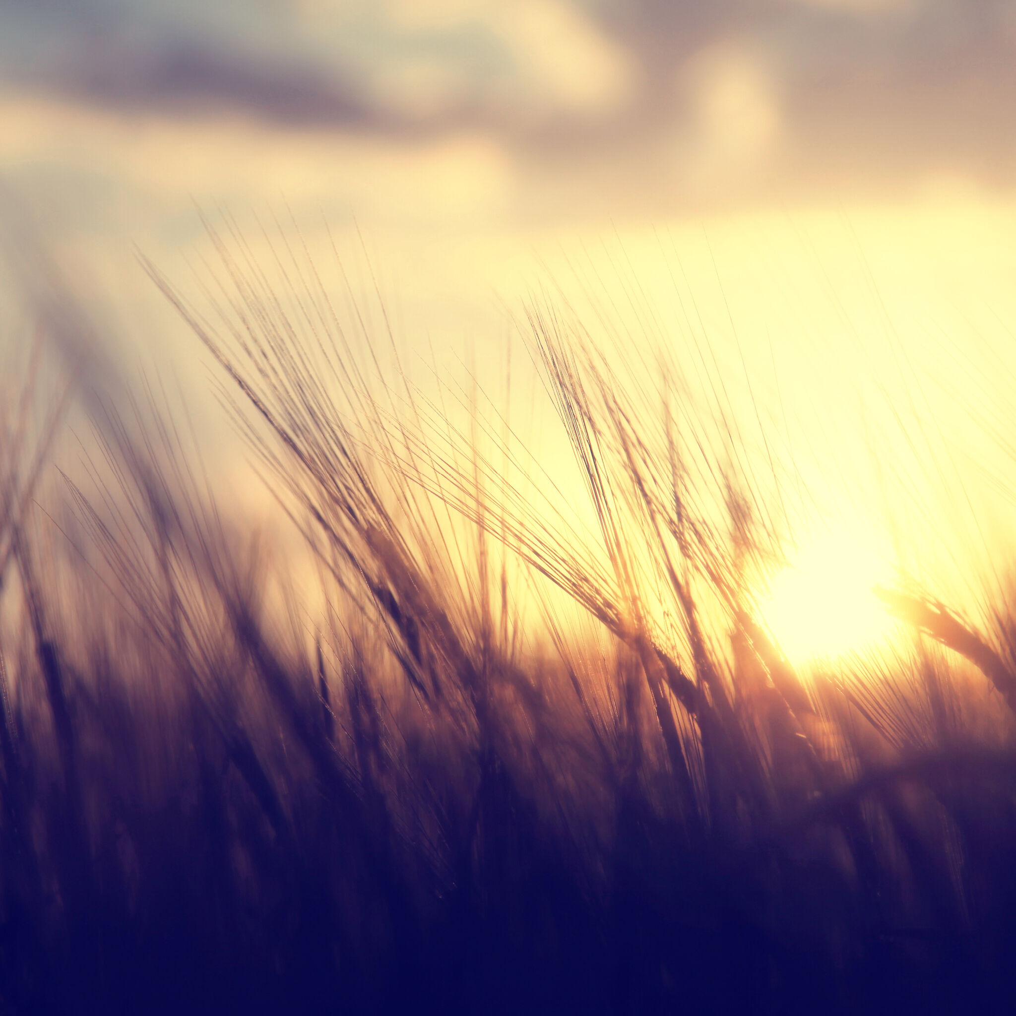 Oefenen met Shenpa in drie stappen - Happinez