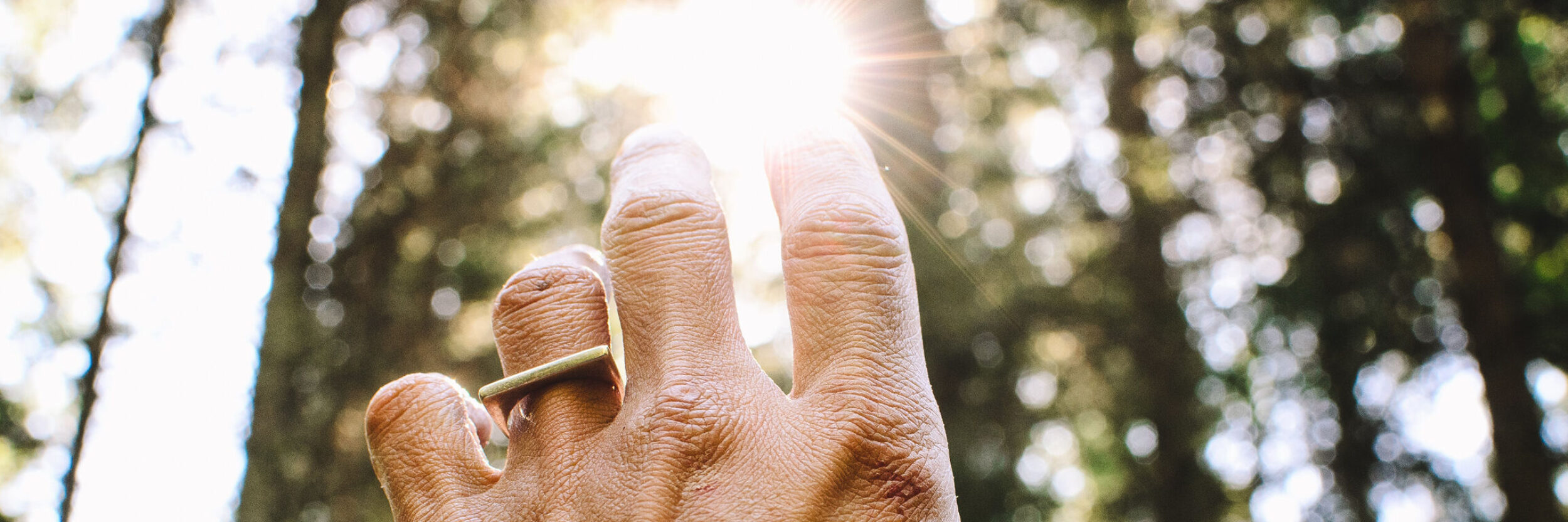 Merlin Healing: drie belangrijke kenmerken - Happinez