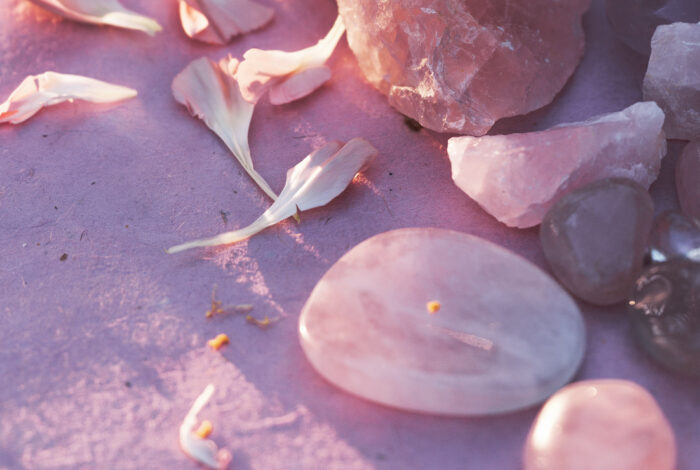 De feniks: symbool van hoop, vernieuwing en vertrouwen