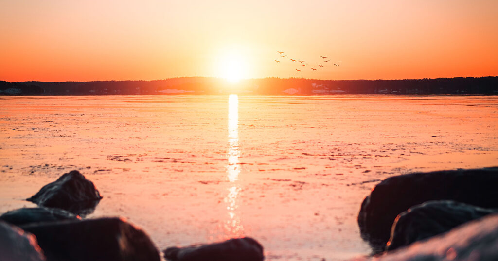 Angstig of gespannen? 7 inzichten van de zee die troosten