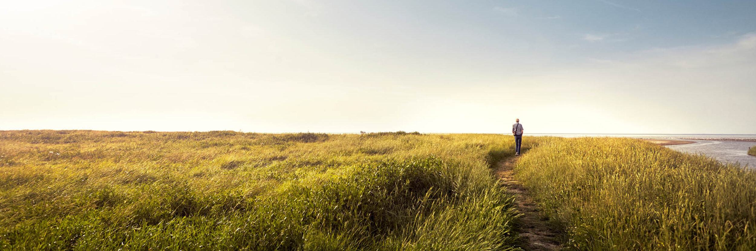 Natuur in Nederland: 5 bijzondere plekken om te verkennen