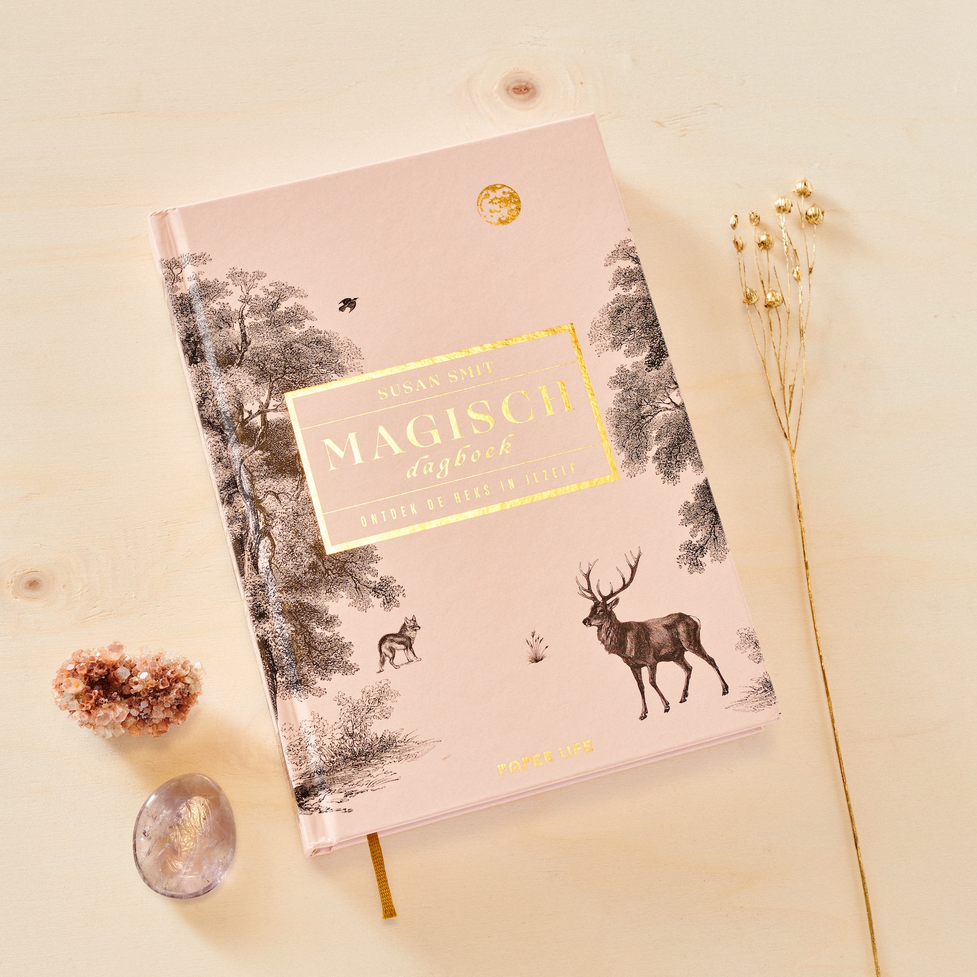 Magisch Dagboek van Susan Smit - Boeken | Happinez