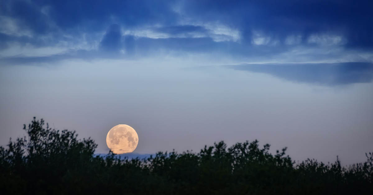 Volle maan juli 2023: dit kun je verwachten - Happinez